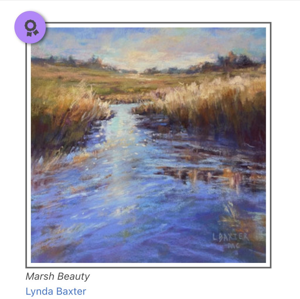 What has soft pastel artist Lynda Baxter been up to lately?